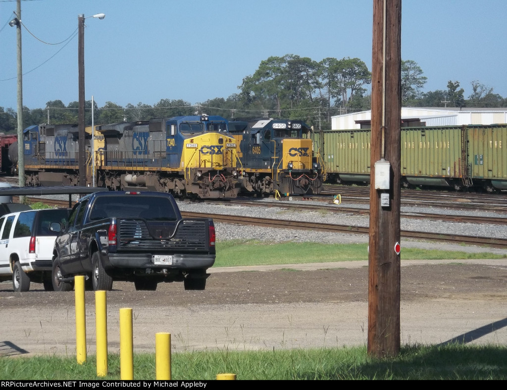 Q545 and Y550 in the yard